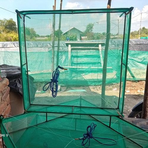 Jual anco tambak udang ukuran sedang 40cmX40cmX20cm(dengan kaki anco ...