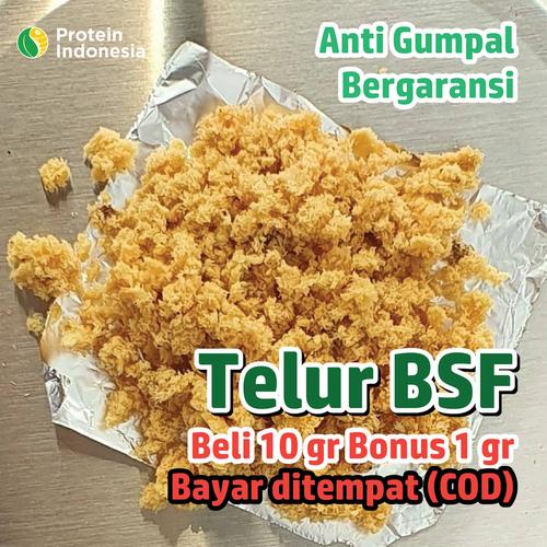 Jual Telur maggot B.S.F. dari pupa kualitas super (1 gram) - Kota Depok ...