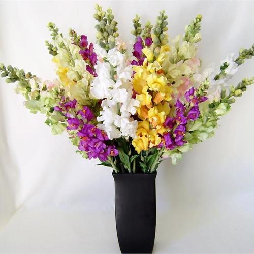 Jual Fresh Cut Snapdragon / Bunga Snep Segar per ikat - Pink - Jakarta ...