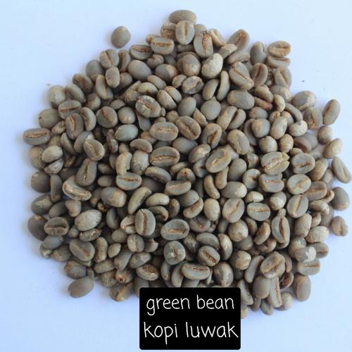 Jual Green bean kopi luwak liar asli 250g / Arabika Gunung Halu - green ... Jual Green bean kopi luwak liar asli 250g / Arabika Gunung Halu - green ...