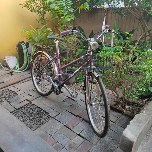 Jual Sepeda Federal Lady - Kota Bekasi - Titian Core | Tokopedia