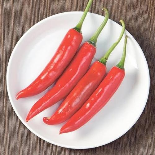 Jual Cabe Merah Besar / Sayur Cabai Merah Besar / chili / Sayur Segar ...