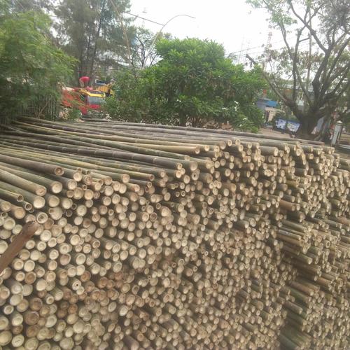 Jual bambu steger murah - Jakarta Utara - UD DIANA BAMBU | Tokopedia