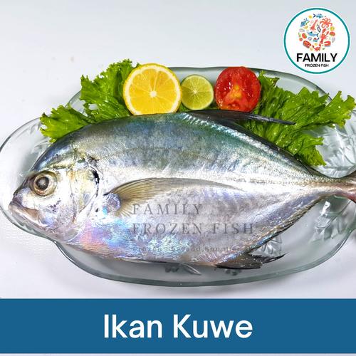 Jual Ikan Kuwe/kwe Segar | Ikan Laut Segar Frozen 1 kg - 800gr isi ...