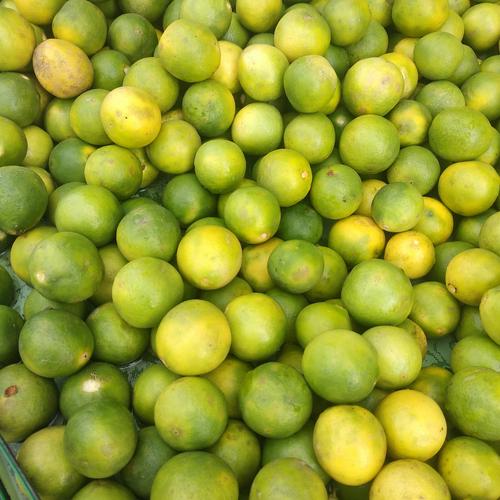 Jual jeruk nipis berat 1 kg - Kota Medan - ZANAPO FRUITS AND AGRO ...