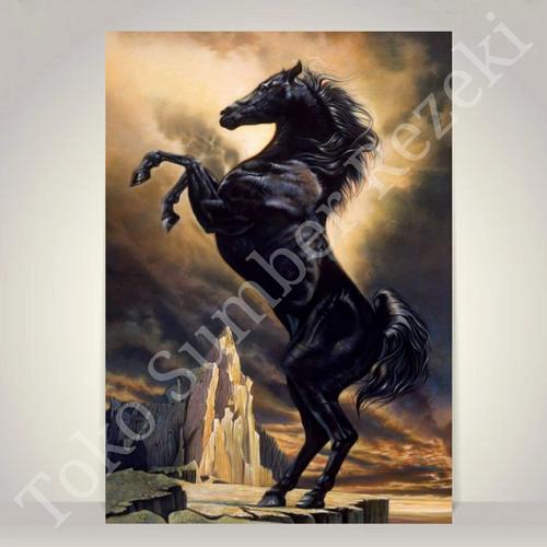 Jual Poster Foto Kuda Hitam Black Horse Lukisan Kanvas Canvas Gambar ...