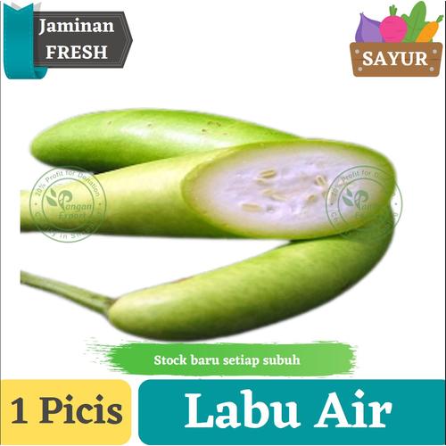 Jual Labu Air , Labu Putih Panjang , Sayur Buah Segar - Jakarta Barat ...