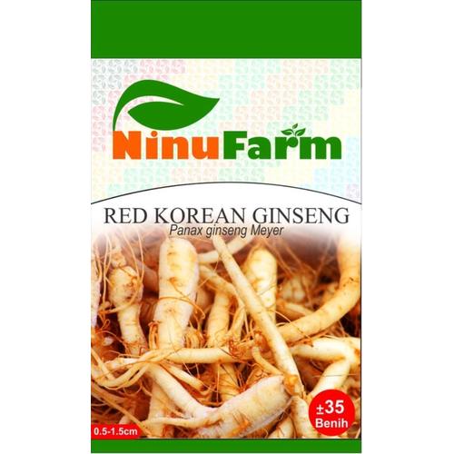 Jual BIBIT GINSENG KOREA / RED KOREAN GINSENG / NINUFARM / KEMASAN ASLI ...