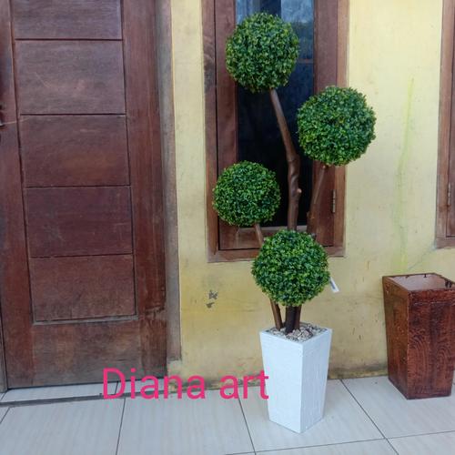 Jual bonsai daun bola bola#pohon bola bola#pohon eucalyptus#pohon palsu ...