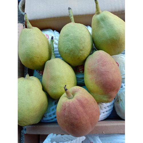 Jual Buah Pir Xiang Lie Manis Segar Banyak Air Pencegah Panas Dalam ...