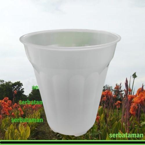 Jual Pot Bunga CEO P 20 t Tirus Bening Transparan/Mode Tinggi / Pot ...