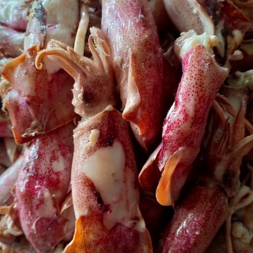 Jual cumi asin telor ukuran jumbo per 250gr - Kota Tangerang - sumber ...