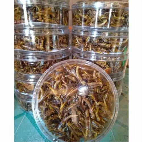 Promo belalang goreng gurih bisa pilih rasa 100gram - gurih asin - Kab ...