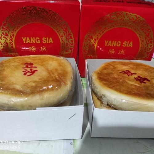 Jual pia yang sia 1box isi 2pc gojin dan kacang hijau/pia khas ...