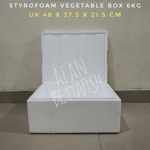 Jual Styrofoam Box 6kg uk 48 x 37.5 x 21 CM /Sterefoam Fish/Ikan ...