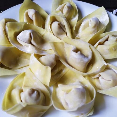 Jual pangsit frozen isi ayam bisa rebus goreng isi 10 - Jakarta Selatan ...