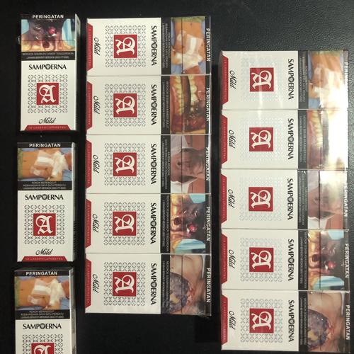 Jual rokok sampoerna mild 12 batang - Kota Malang - Toko SPB | Tokopedia