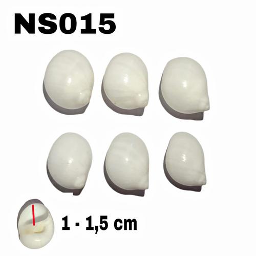 Jual NS015 cangkang shell rumah kelomang keong umang kumang natural ...