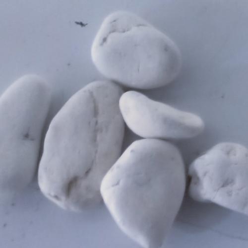 Jual Batu Koral Putih Kupang,Panca Warna - Putih kecil - Kota Malang ...