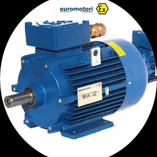 Jual ELMOT 0.75KW/1HP 4P B3 FOOTMOUNTED BRAND EUROMOTORI - Kota ...