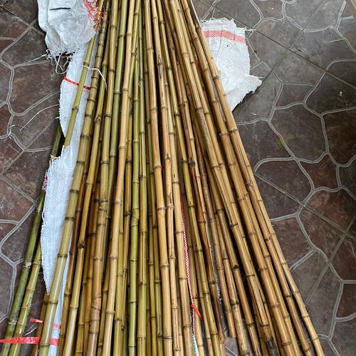 Jual Batang bambu cendani warna kuning artificial bamboo stick ...