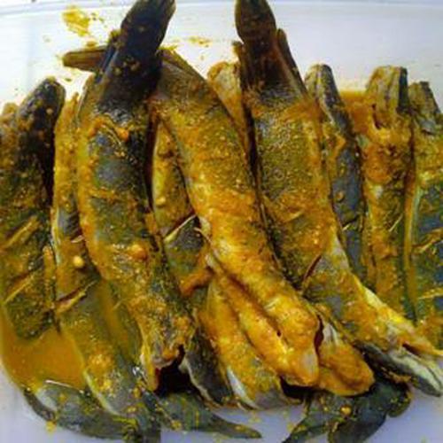 Jual Ikan Lele Frozen Bumbu Kuning / Lele Kuning / Lele Frozen - Kota ...