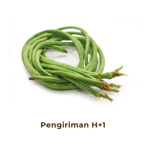 Jual Kacang Panjang Segar / Fresh Long Bean - Perikat - Kota Semarang ...