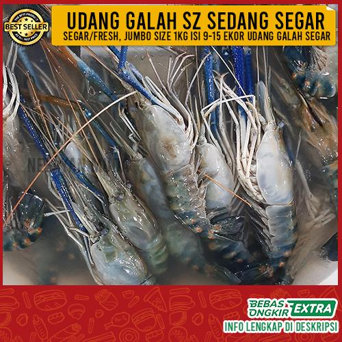 Jual Udang Galah Segar Jumbo Gede Besar Segar/Fresh 1 kg isi 9-15 ekor ...