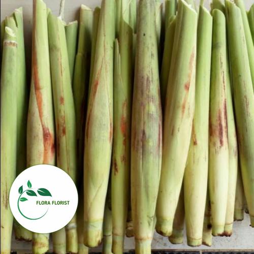 Jual Terlaris turubuk,terubuk endog tiwu atau telur tebu fresh segar ...