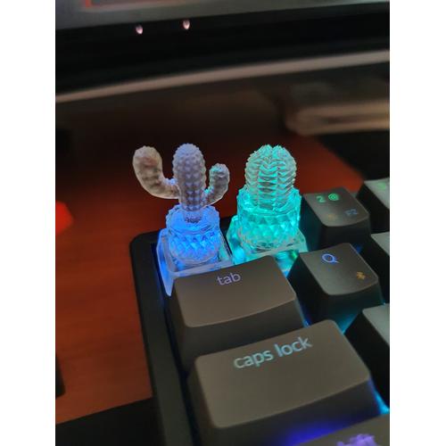 Jual Keycaps mechanical keyboard artisan Transparant tanaman kaktus - 2 ...