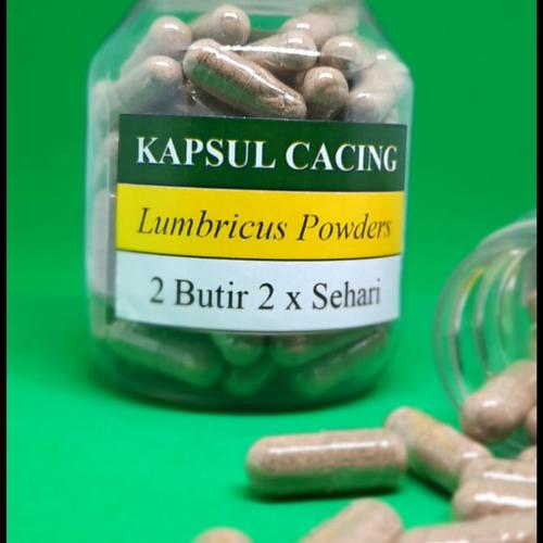 Jual kapsul cacing lumbricus rubellus isi 100pcs / kapsul cacing obat ...