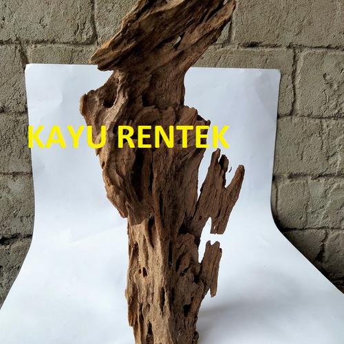 Jual KAYU RENTEK HIASAN AQUARIUM AQUASCAPE PENJING PALUDARIUM - Kota ...