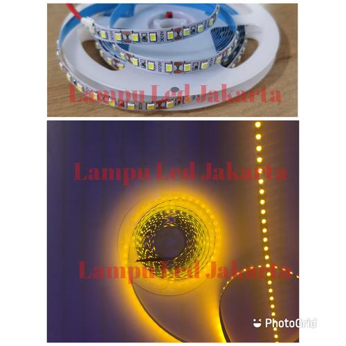 Jual Led strip 2835 120mata GOLD. Led strip gold 120mata. Led pita ...