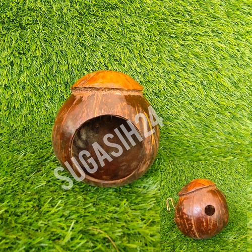 Jual GLODOK BURUNG BATOK KELAPA MURAI LOVEBIRD KENARI DLL - Kab ...