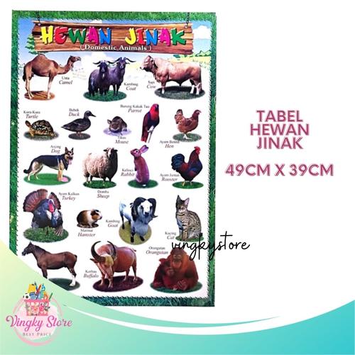 Jual Poster Edukasi Anak / Poster Tabel Hewan Jinak - Jakarta Utara - Vingky Store | Tokopedia
