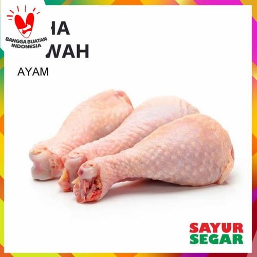 Jual paha ayam segar 500 gram drum stik pentungan - Jakarta Selatan ...