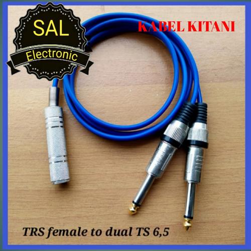 Jual KABEL JACK TRS 6,5 FEMALE TO DUAL TS 6,5 - 1 METER - Kota ...