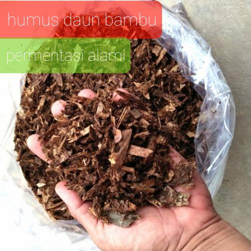 Jual Humus daun bambu kering 2.5kg - Kab. Tangerang - media_tanam93 ...