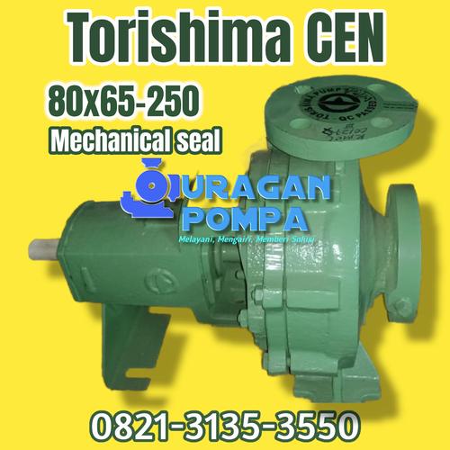 Jual Pompa Air Torishima ETA-N CEN 80x65-250 MECHANICAL SEAL MS ...