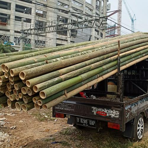 Jual BAMBU STEGER Uk.8/10 PJG 6 METER - Jakarta Utara - bambu dolken ...