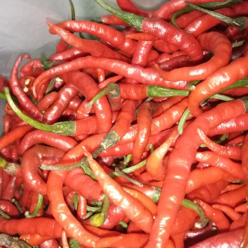 Promo Cabe Merah Keriting - 1 kg - Kota Surabaya - Toko Sayur Dua Dara ...