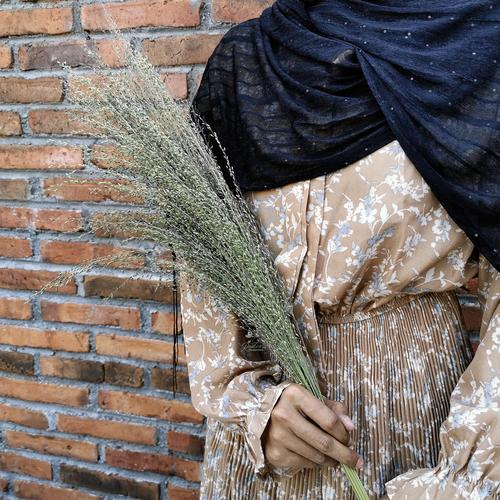 Jual BUNGA KERING PADI PADIAN / DRIED FLOWER / WILD GRASS - Kab. Sleman ...