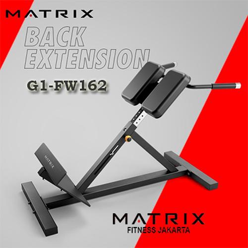 Jual MATRIX G1-FW162 BACK EXTENSION BENCH - Jakarta Barat - Matrix ...