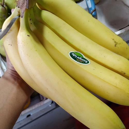 Jual PISANG CAVENDISH SUNPRIDE MANIS (1KG) Buah - 0,5 kg - Jakarta ...