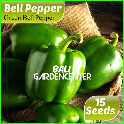 Jual Benih Biji Paprika Hijau - Green Bell Pepper - Kab. Badung - Bali ...