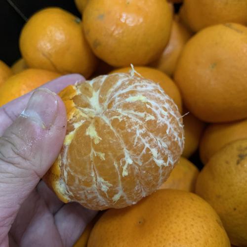 Jual Buah Jeruk Honey Murcot Segar Impor Australia 1 dus isi 9 kg - 5 ...