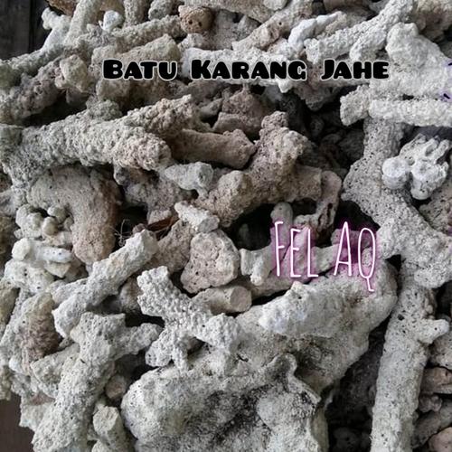 Jual Karang Jahe 1kg Karang Laut Penetral pH Buffer Media Filter ...