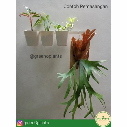 Jual Pot Gantung Kait Palang Dinding Putih Berlubang - Kota Tangerang ...