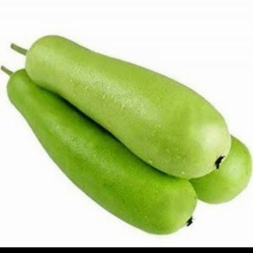 Jual labu air panjang - Jakarta Barat - sayuran murah kang wawan ...