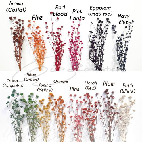 Jual 1 Ikat Bunga Tapak Liman Kering | Dried Flower | Dekorasi Rustic ...